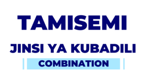 Kubadilisha Combination Tamisemi Selform system 2025/2026 MIS
