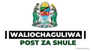 Post za Shule Form Five Selection 2025