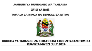 Tamisemi New Form five Combinations 2024