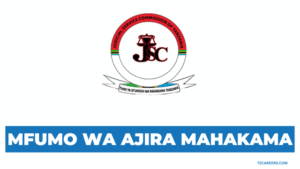 Mfumo wa Maombi ya Ajira wa Tume ya Utumishi wa Mahakama Tanzania, Jinsi ya Kutuma maombi